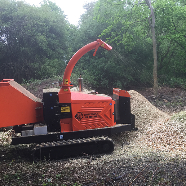 Latest News & Events | Product Launch | Timberwolf